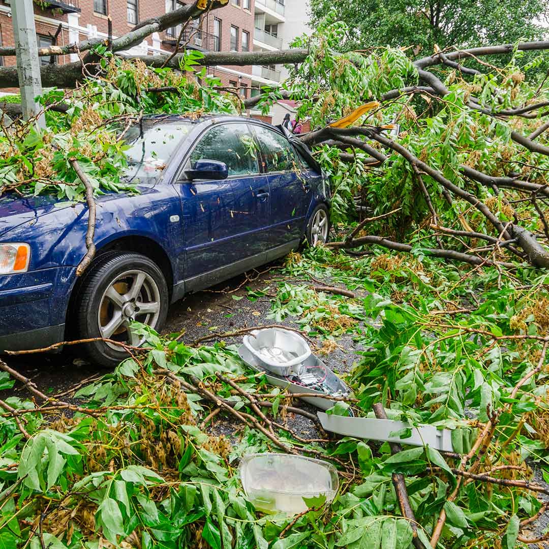 News - SE Ventures Schneider Electric Venture Capital Fund | Schneider ...